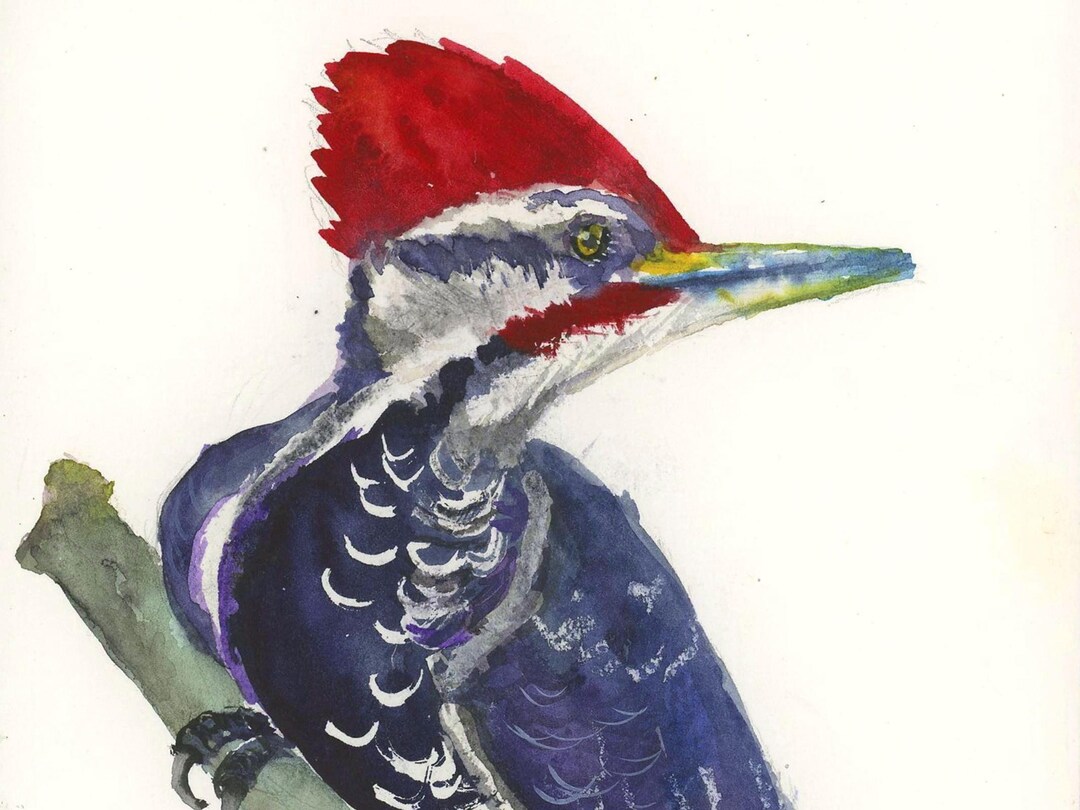Woodpecker Print, Woodpecker Painting, Woodpecker Wall Art, Woodpecker ...