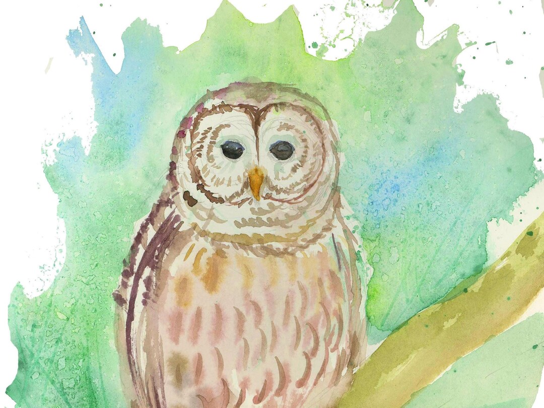 Barred Owl Watercolor Art Print, Barred Owl Monitor Painting Wall Art ...