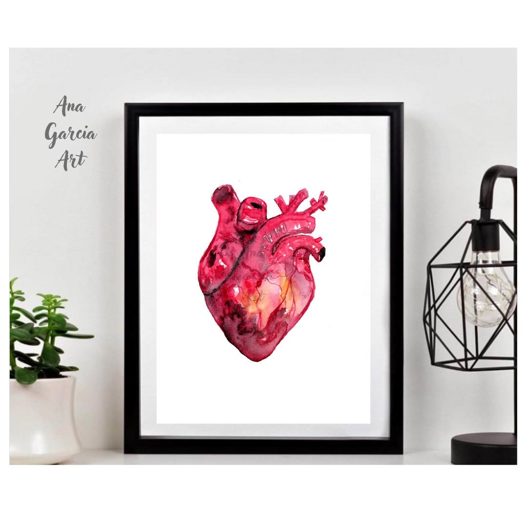Human Heart Art, Human Heart Artwork Prints, Anatomical Heart, Heart ...
