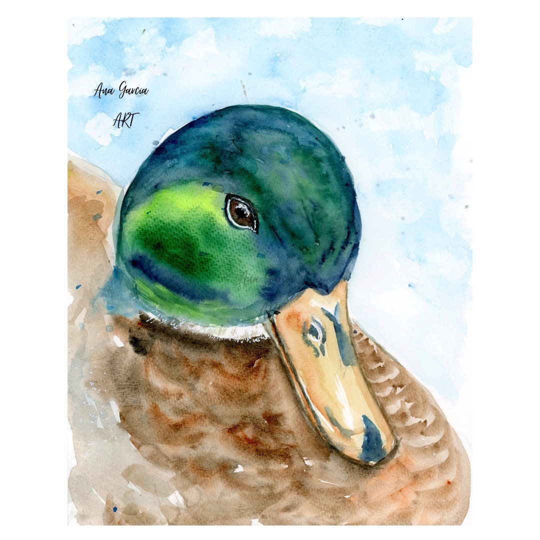 Mallard Duck Art Print - Etsy