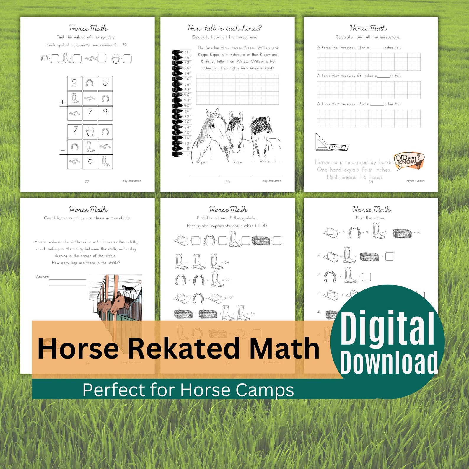 Horse Activity Book for Kids – Printable Horse Camp Workbook | Fun ...