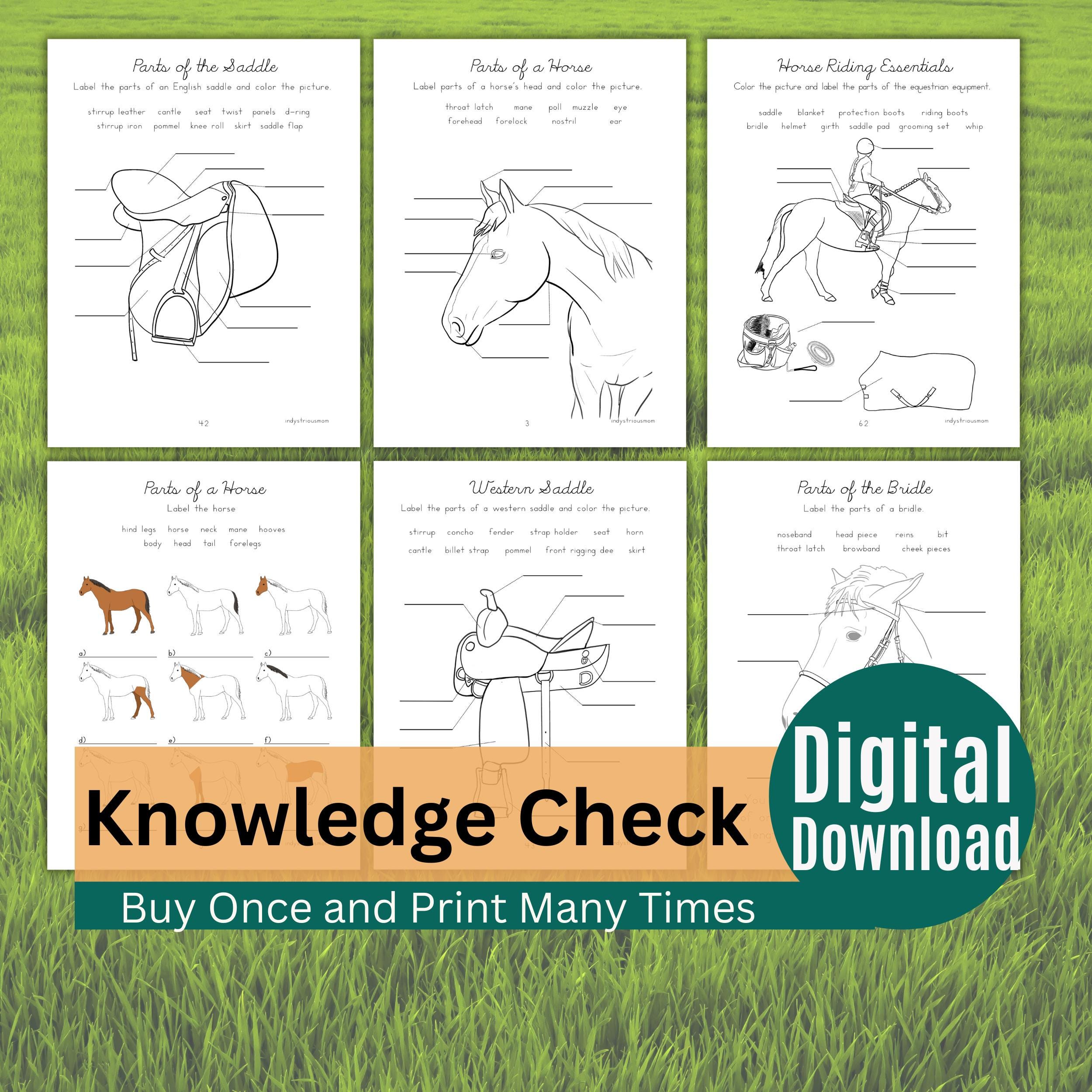 Horse Activity Book for Kids – Printable Horse Camp Workbook | Fun ...
