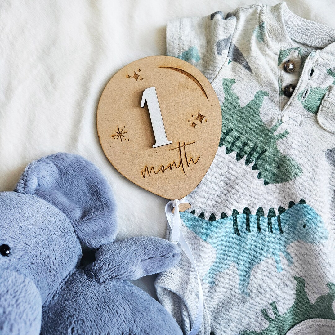 Balloon Baby Monthly Milestone Marker: Wooden Photo Prop - Etsy
