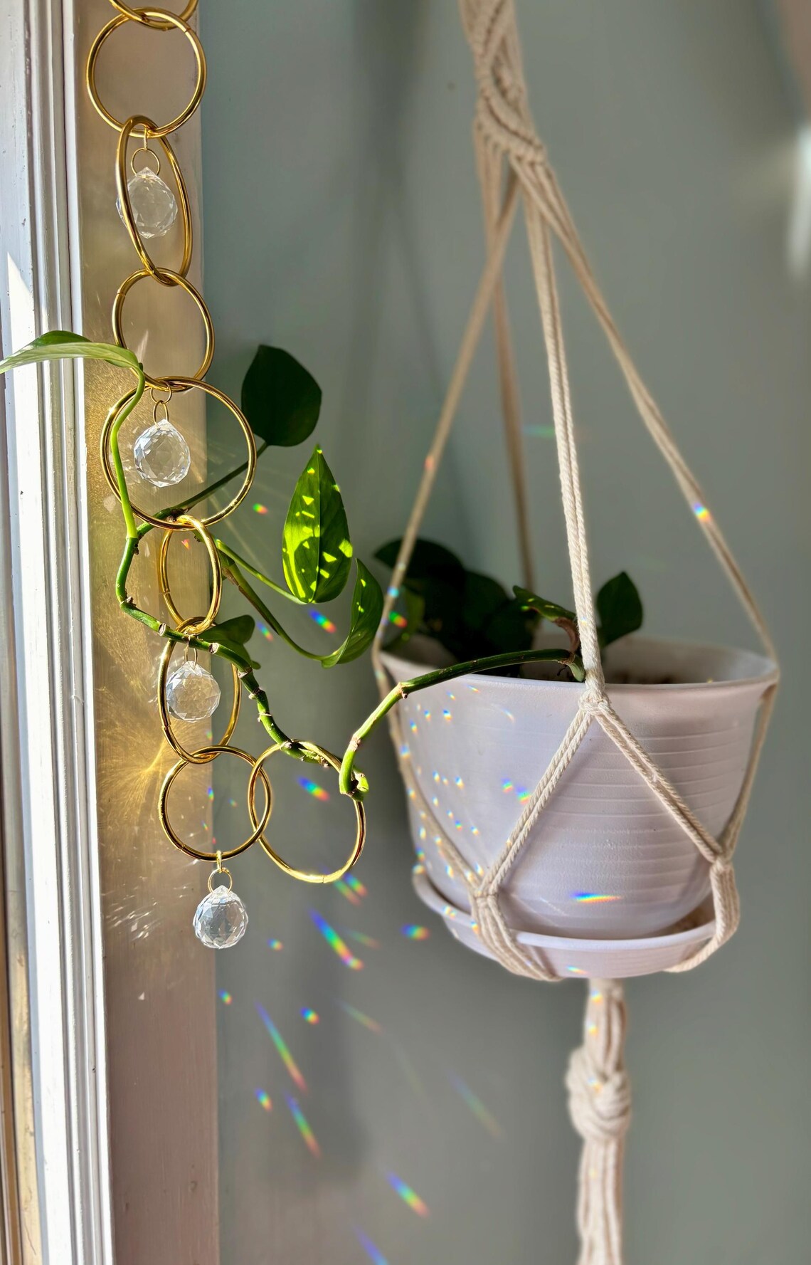 15” Hanging Wall Climber - Etsy