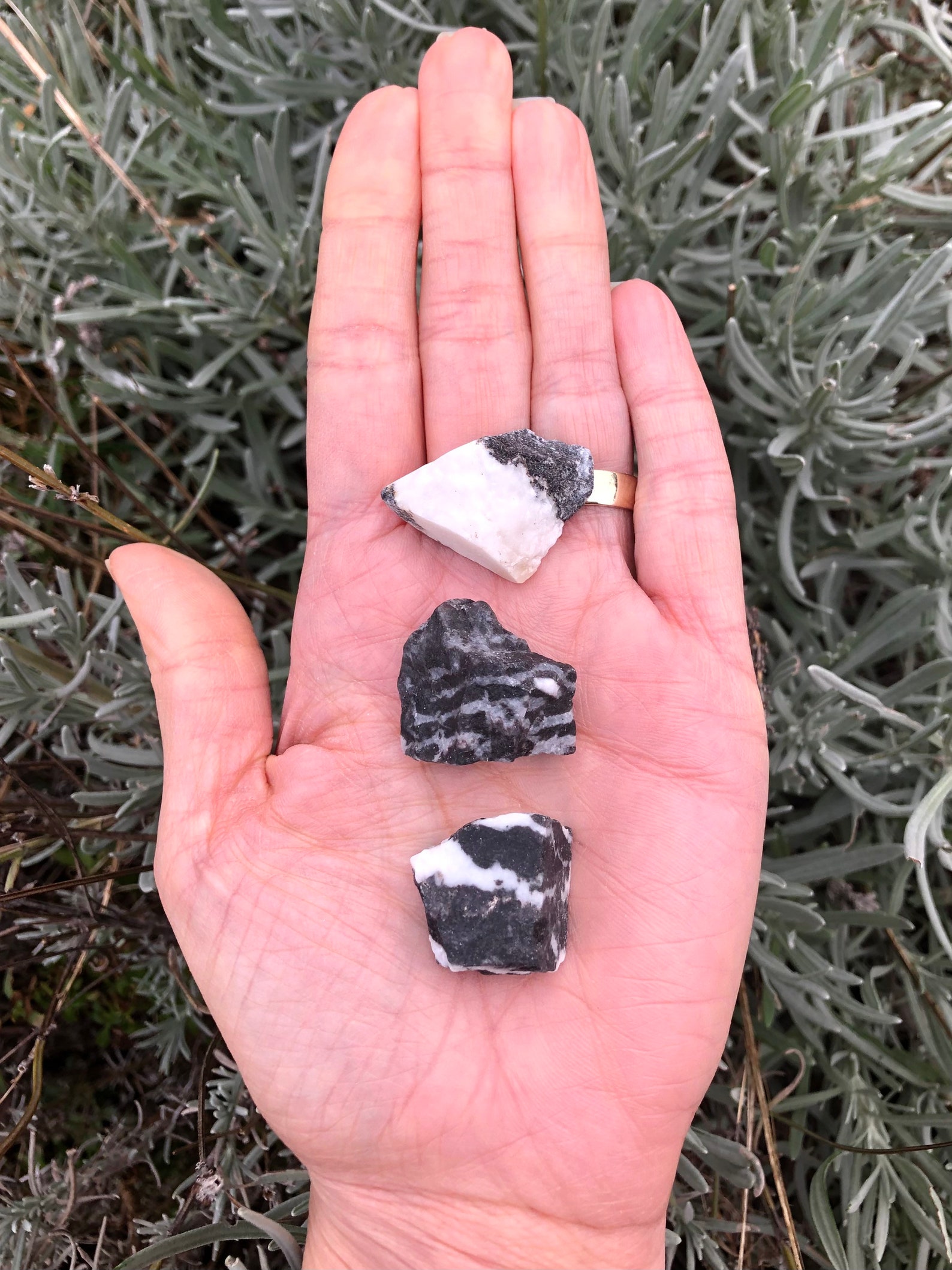 Raw Zebra Jasper Crystal Healing Rough Gemstone Reiki YIN YANG | Etsy