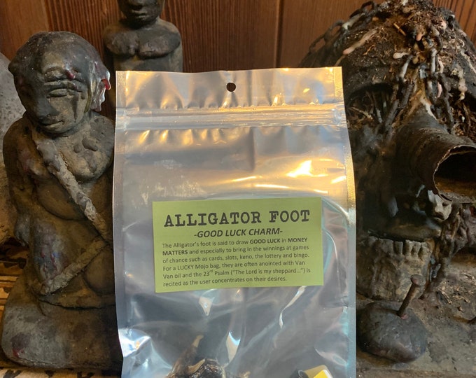 Alligator Foot Good Luck Charm Kit - Etsy