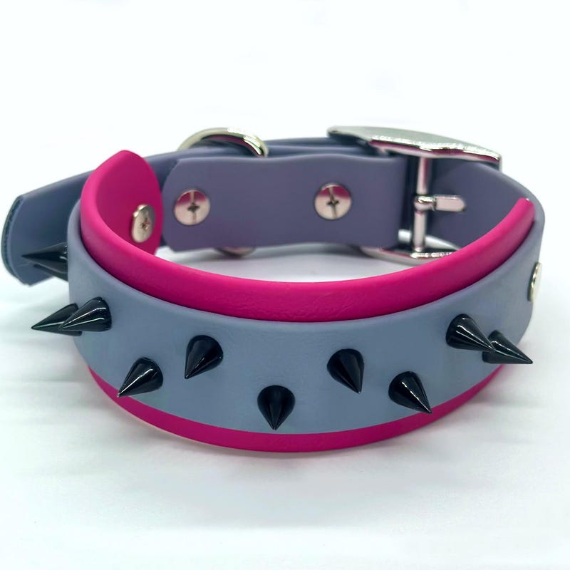 Spiked Dog Collar - Etsy