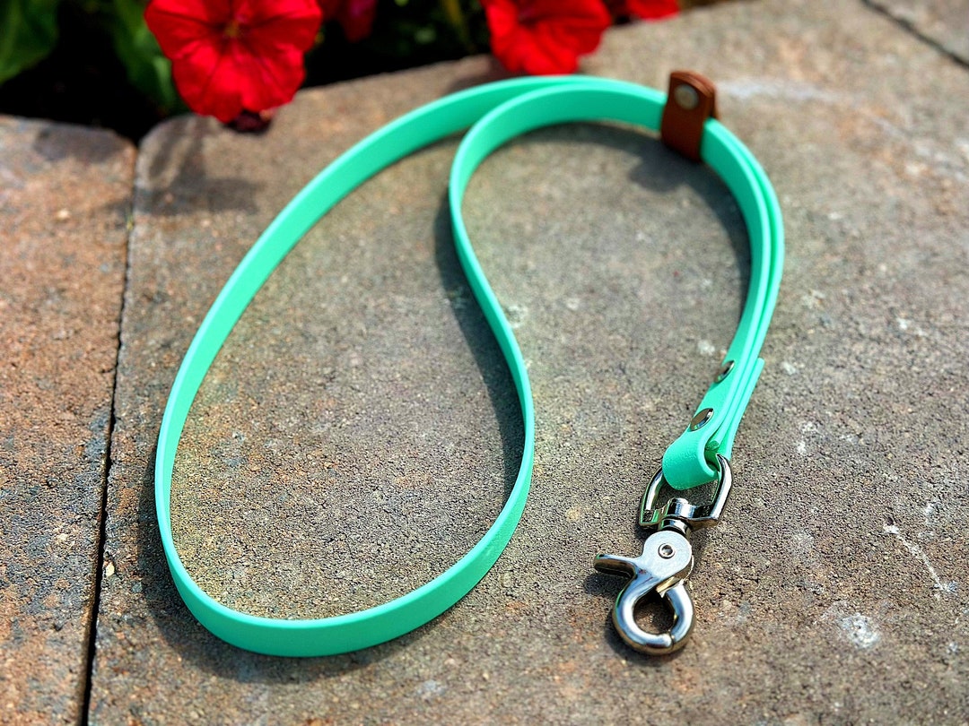 Biothane Grooming Slip Lead Waterproof Durable Easy to Clean - Etsy