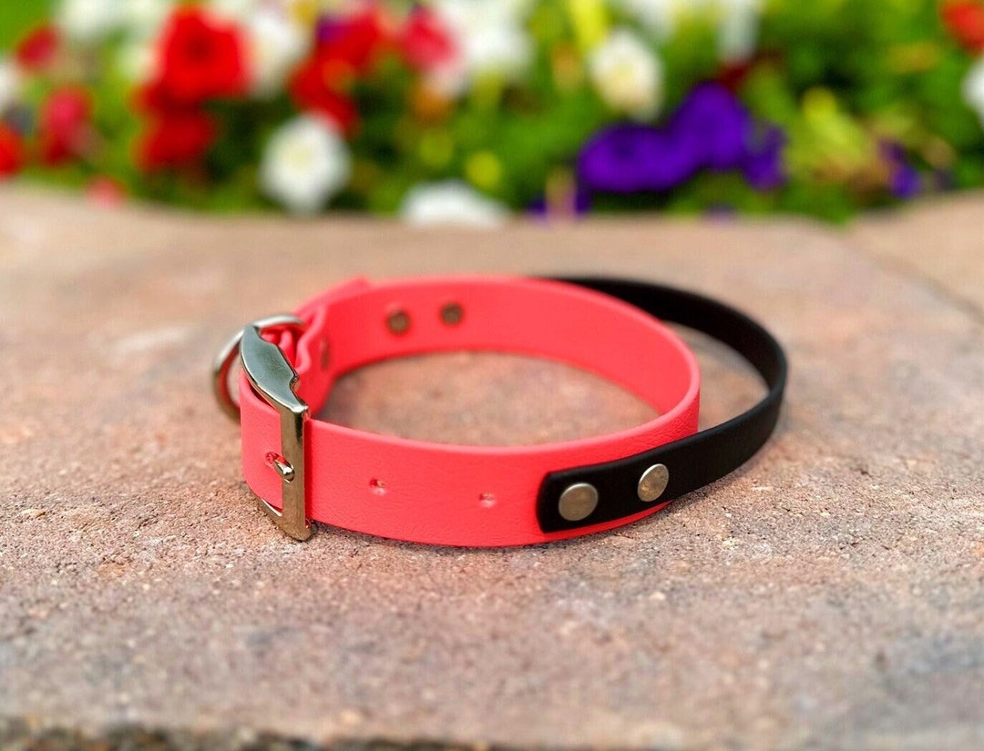 1 Biothane Dog Collar With Handle Waterproof Easy to Clean Dock Jumping ...