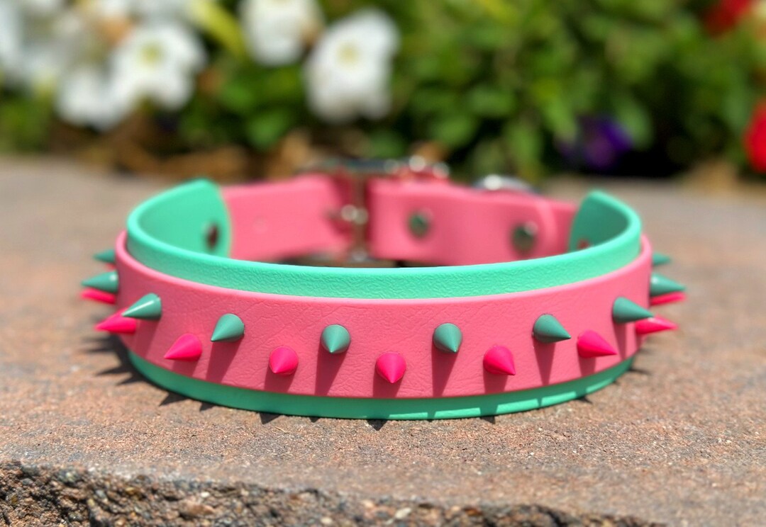 Biothane 1.5 Inch Spiked Dog Collar Colored Spike Collar Double Layered ...