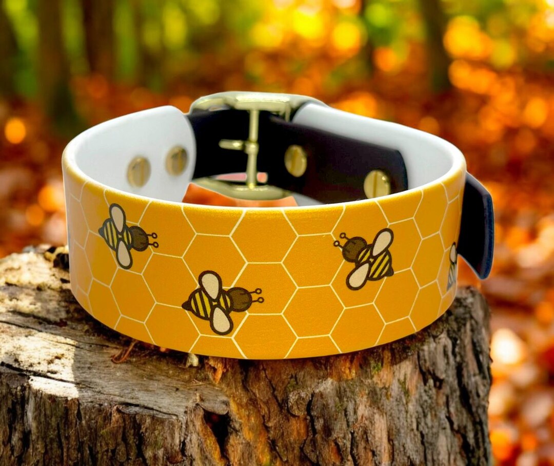 PREMADE 1.5" Bee Honeycomb UV Printed Biothane Dog Collar | Fits 13-16 ...