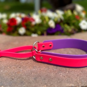 Biothane French Martingale 1.5" | 1" Overlay | 5/8" Leash | Two Toned ...