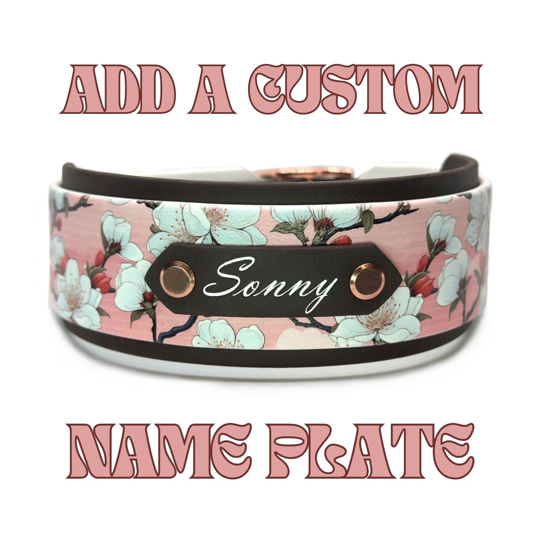 Biothane Name Plate Add on | Customizable Name Tag | Add to Any Sun and ...
