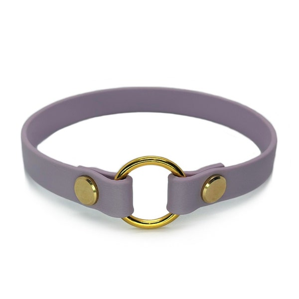 House Collar for Dog Biothane - Etsy