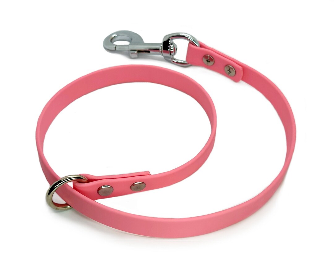 Grooming Slip Lead | 5/8" Grooming Noose | Biothane | Waterproof ...