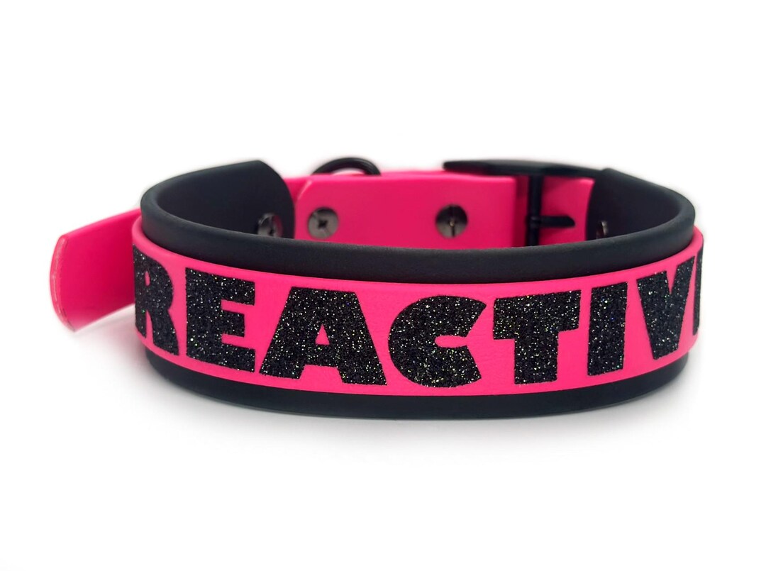 PREMADE 1.5 reactive Biothane Dog Collar W/ Black Glitter HTV Fits 13.5 ...