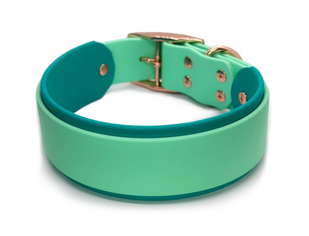 2" Double Layered Biothane Dog Collar | 2" With a 1.5" Overlay ...
