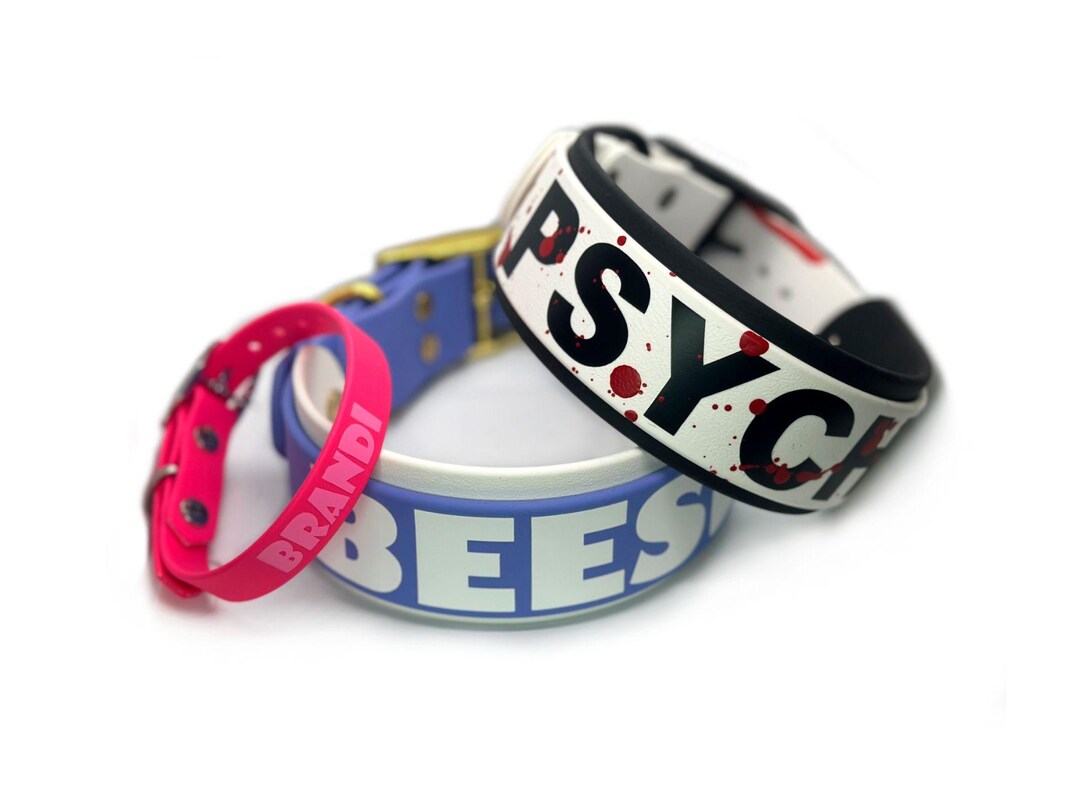 Custom Text Add-on | UPGRADE ONLY | Customize Any Sun and Bee Co Collar ...