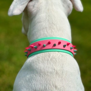 Biothane 1.5 Inch Spiked Dog Collar | Colored Spike Collar | Double ...