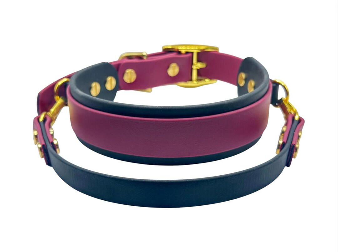 PREMADE Double Layer 1.5" Inch Biothane Dog Collar | Removable Handle ...