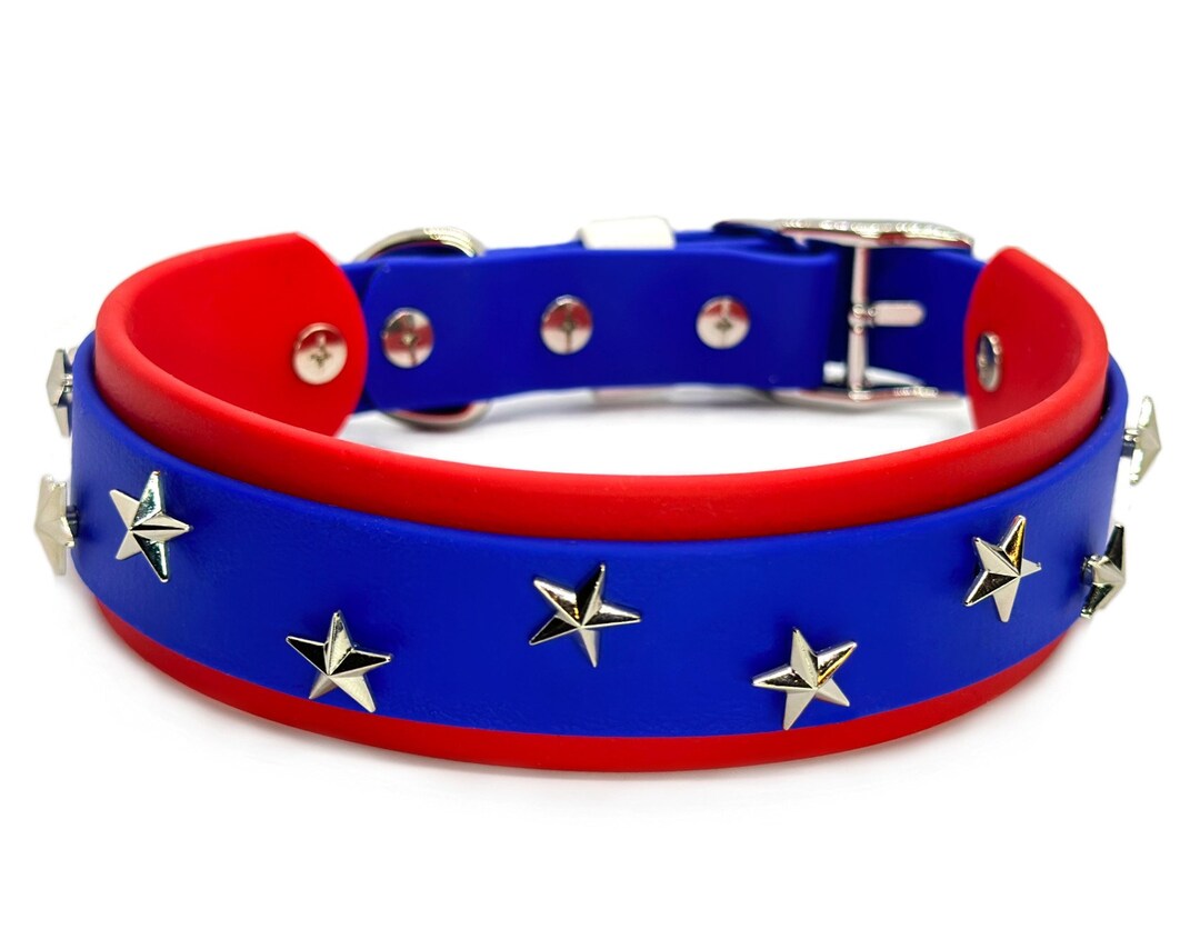 Star Collar | 4th of July Dog Collar | American Patriotic Dog Collar ...