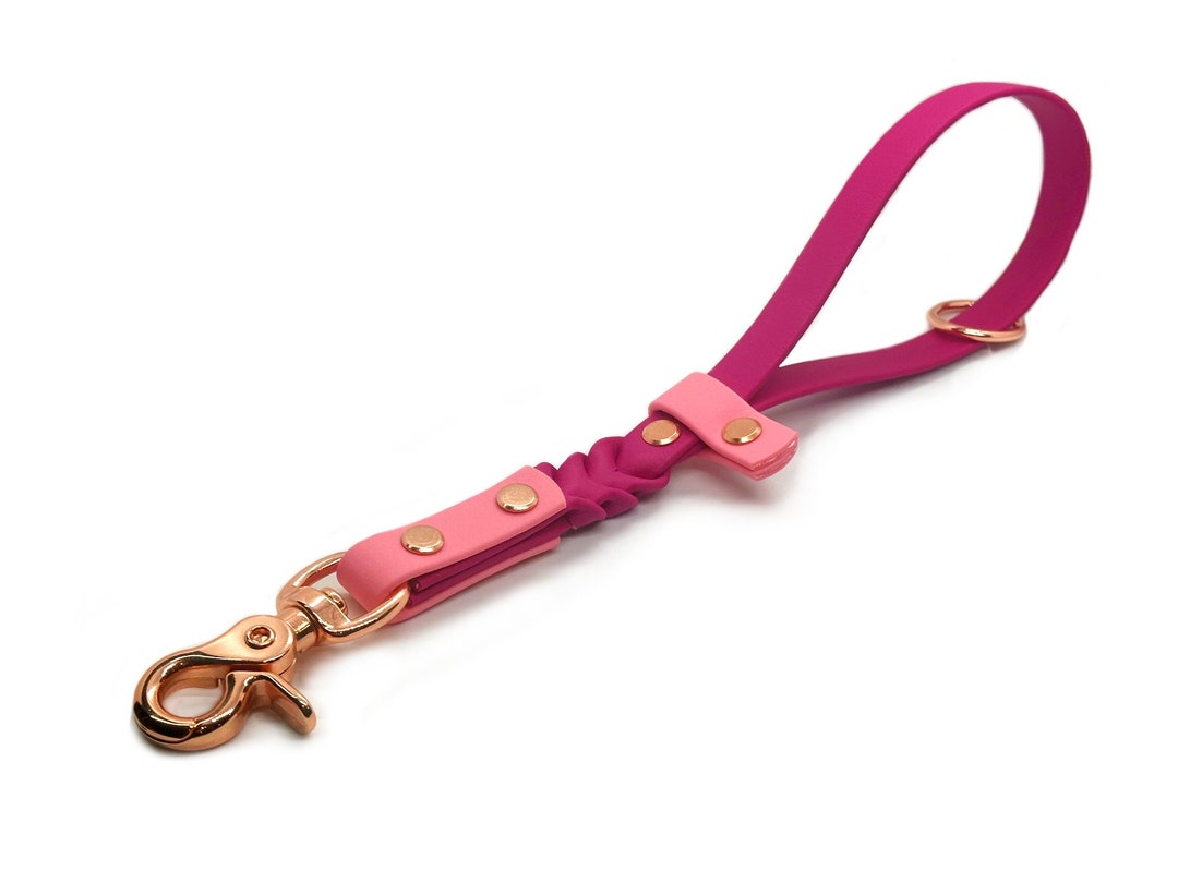 5/8 Deluxe Braided Traffic Lead Tightening Biothane Traffic Leash ...