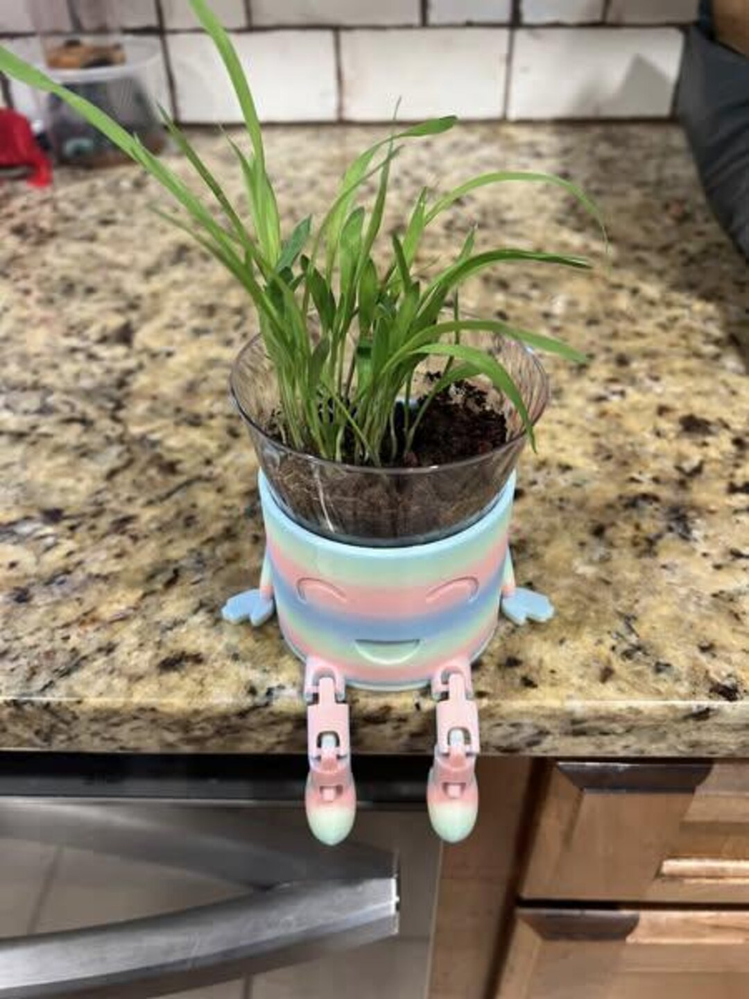 3D Printed Plant Buddy – Cute Decorative Planter Companion, Indoor ...