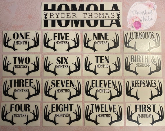 Deer First Year Photo Box Baby Memory Box Photo Album - Etsy