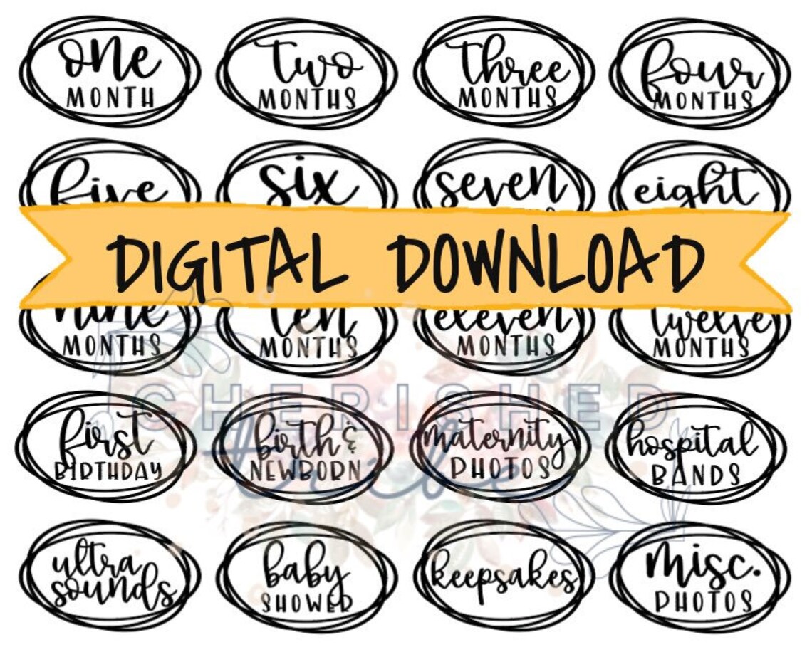 Oval Script - DIGITAL FILES | Photo Box Labels | Memory Box Stickers ...