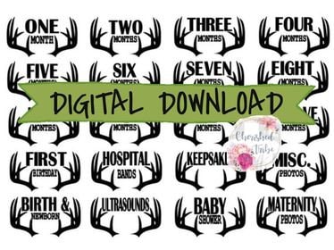 Deer Antler - DIGITAL FILES | Photo Box Labels | Memory Box Stickers ...