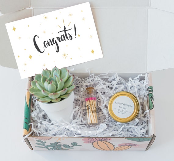 Congratulations Gift Congratulations Gift Box Succulent - Etsy