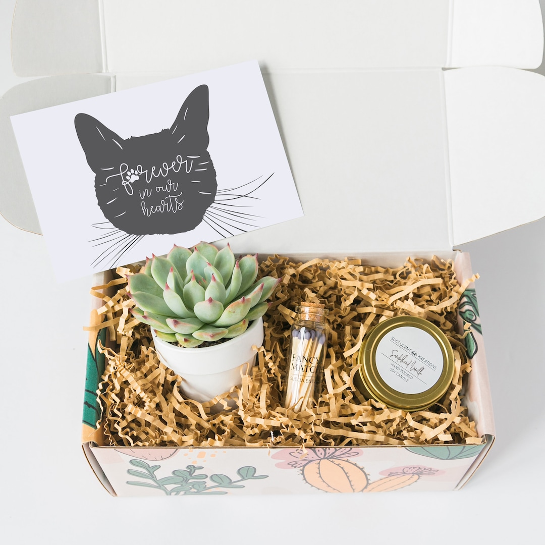 CAT SYMPATHY GIFT - Loss of Cat - Cat Loss Sympathy Gift - Sorry for ...