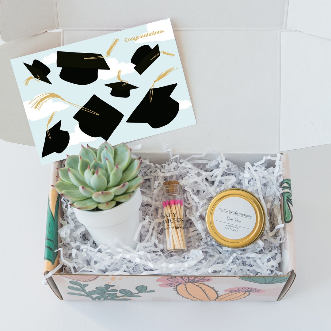 GRADUATION GIFT Quarantine Graduate Live Succulent Succulent Gift Box ...