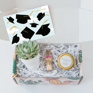 GRADUATION GIFT Quarantine Graduate Live Succulent Succulent Gift Box ...