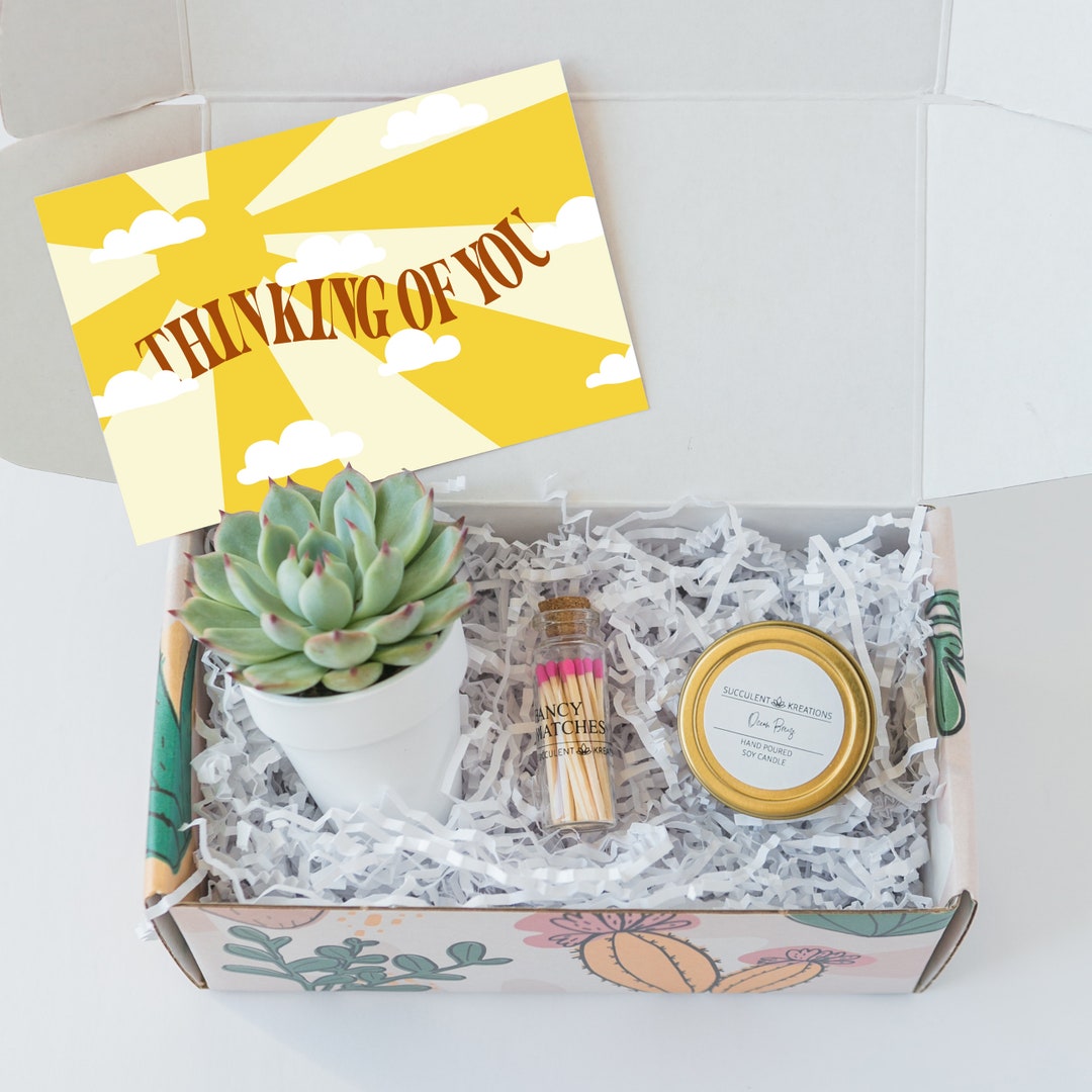 Sending You Sunshine Succulent Gift Box Live Succulent Gift Friendship ...