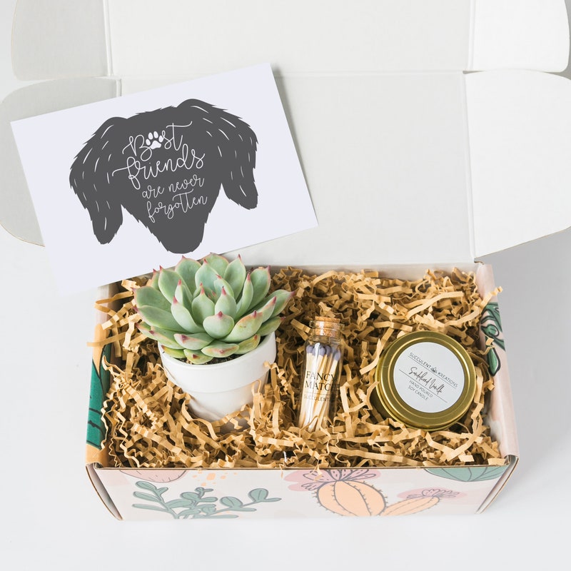 Dog Sympathy Gift - 60+ Gift Ideas for 2025