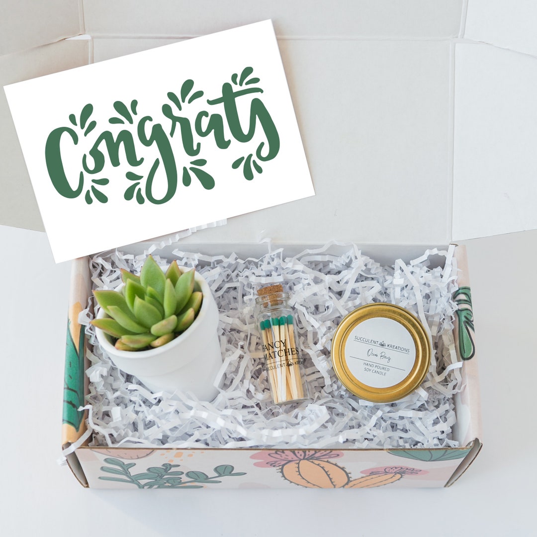 Congratulations Gift Box Congratulations New Job Live Succulent Gift ...