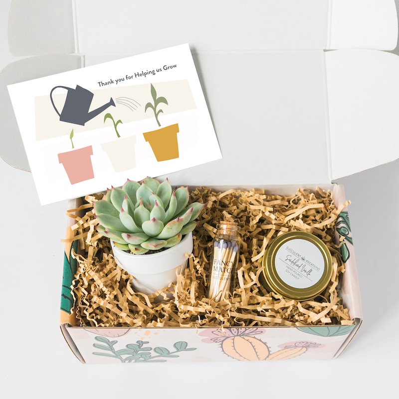 Corporate Plant Gift - 60+ Gift Ideas for 2026