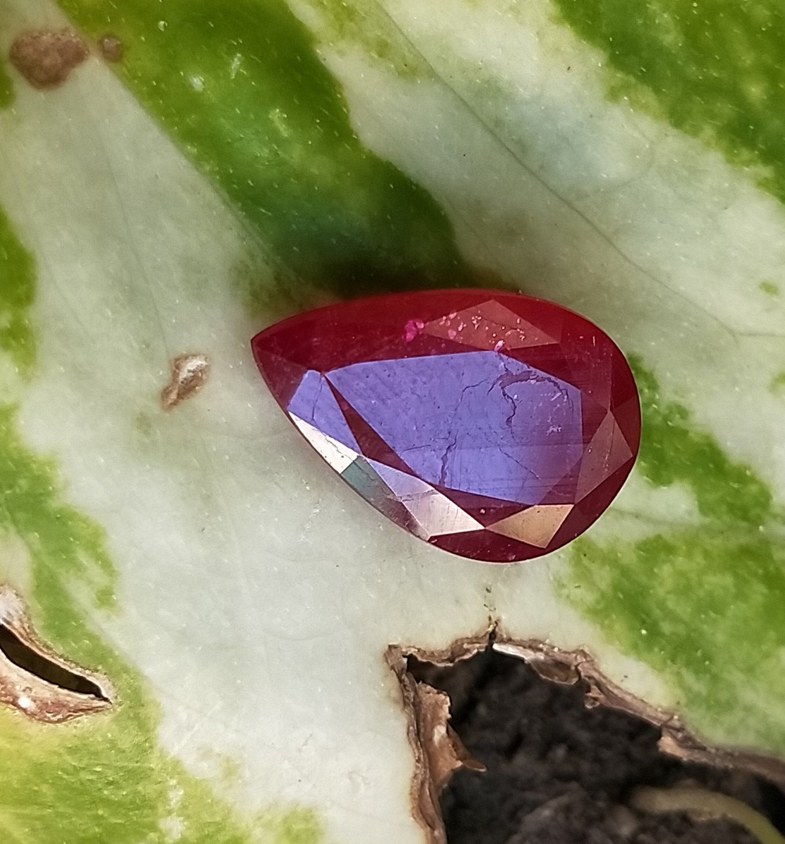 Precious Ruby Natural Longido Ruby Pear Israel Cut Stone - Etsy