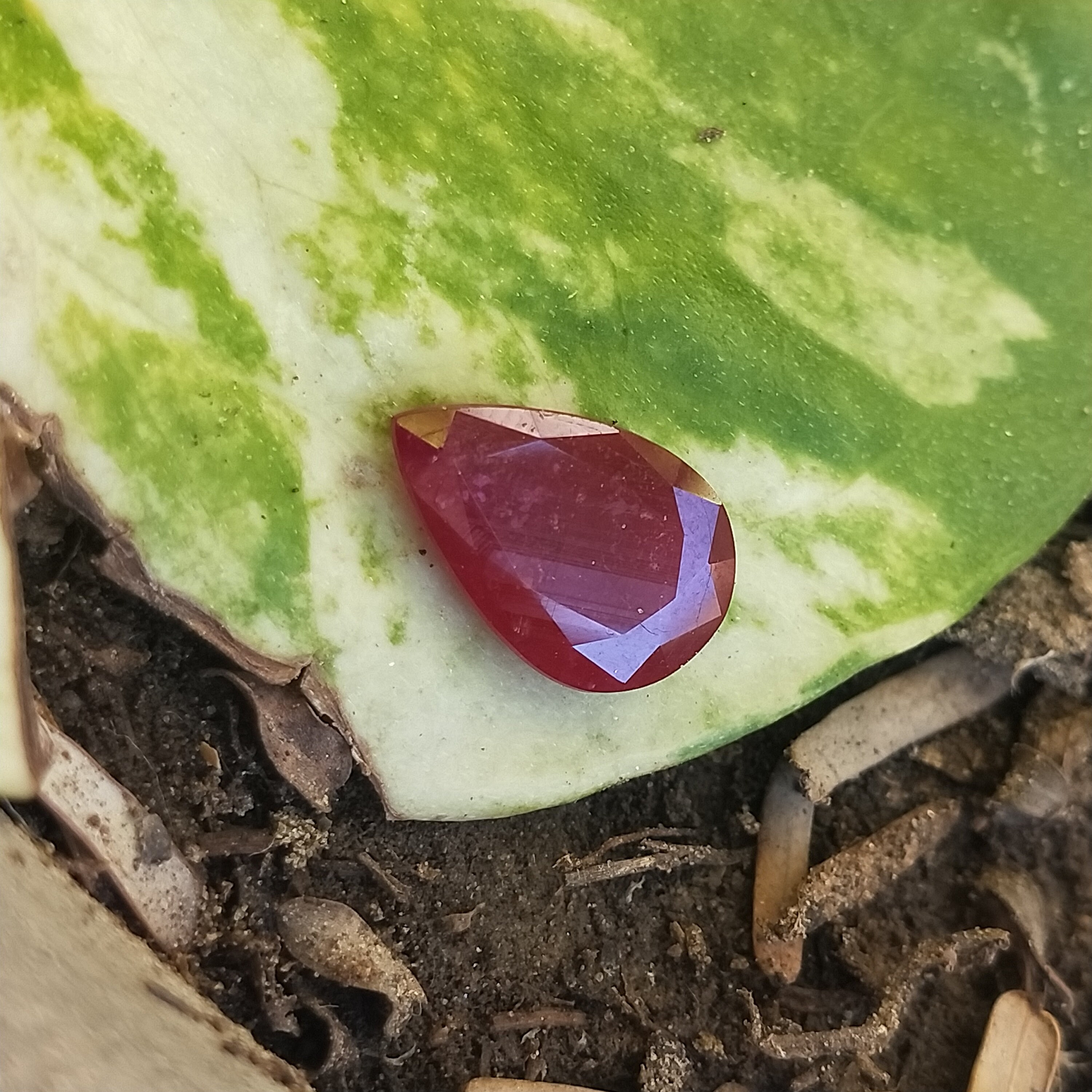 Precious Ruby Natural Longido Ruby Pear Israel Cut Stone - Etsy