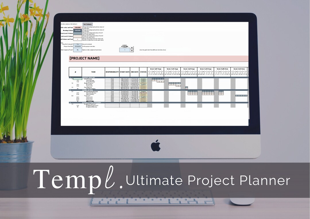 Project Planner | Gantt Chart | Excel Project Planner - Etsy