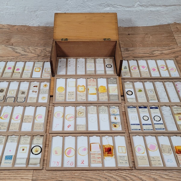 Antique Microscope Slides in Box - Etsy