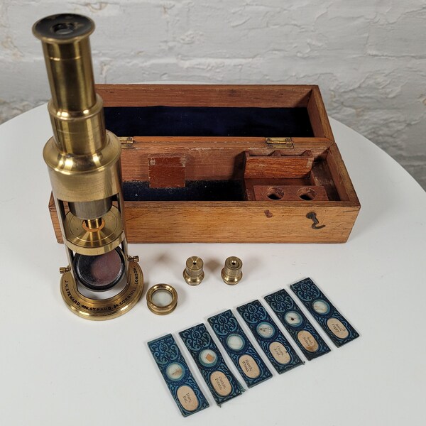 Antique Microscope Slides in Box - Etsy