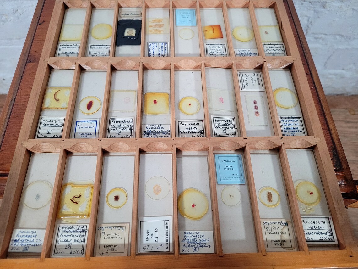 Extensive Antique and Vintage Microscope Slide Collection / - Etsy UK