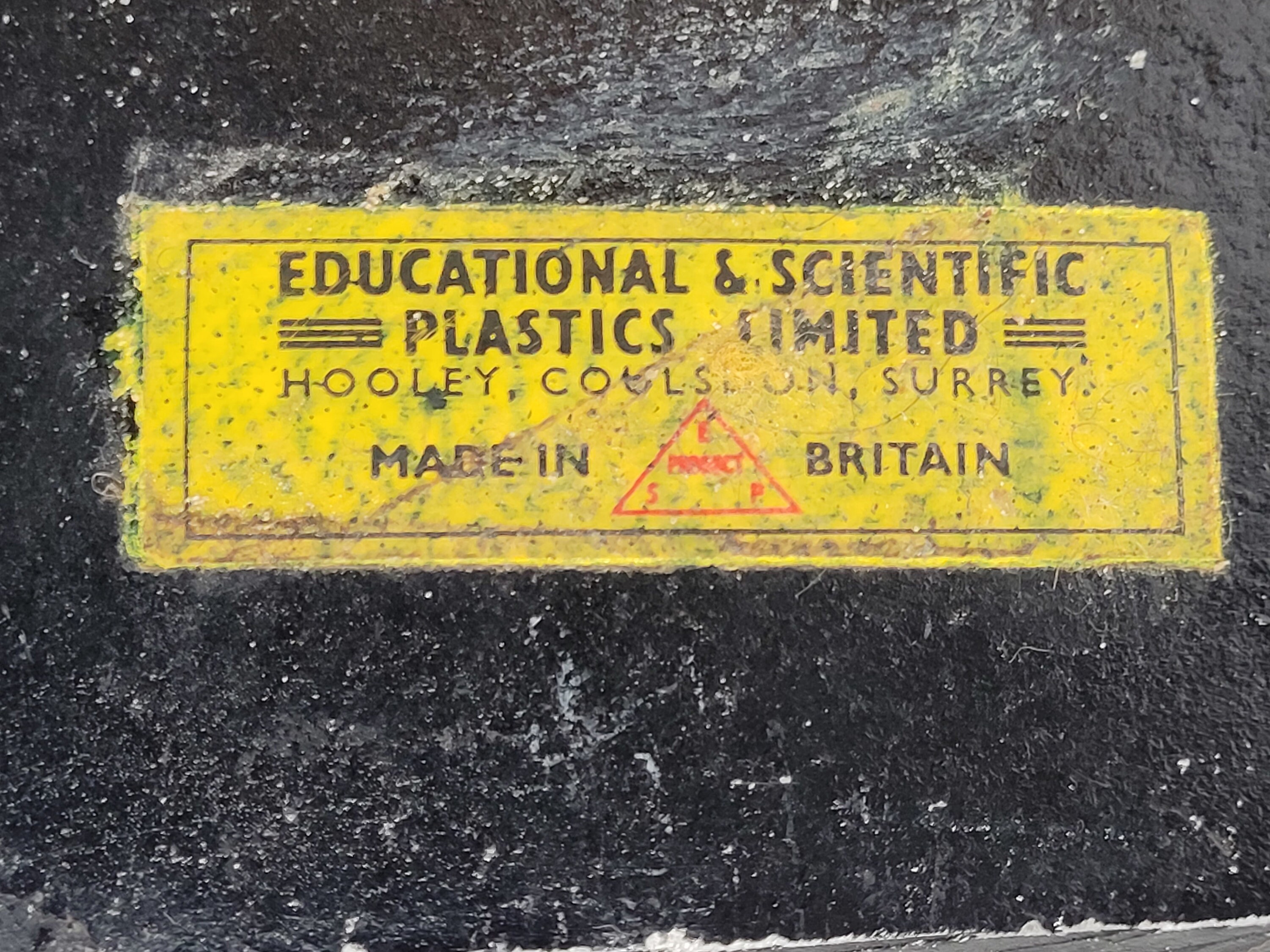 Vintage Skeleton Scale Model / Vintage Human Anatomy Model / - Etsy