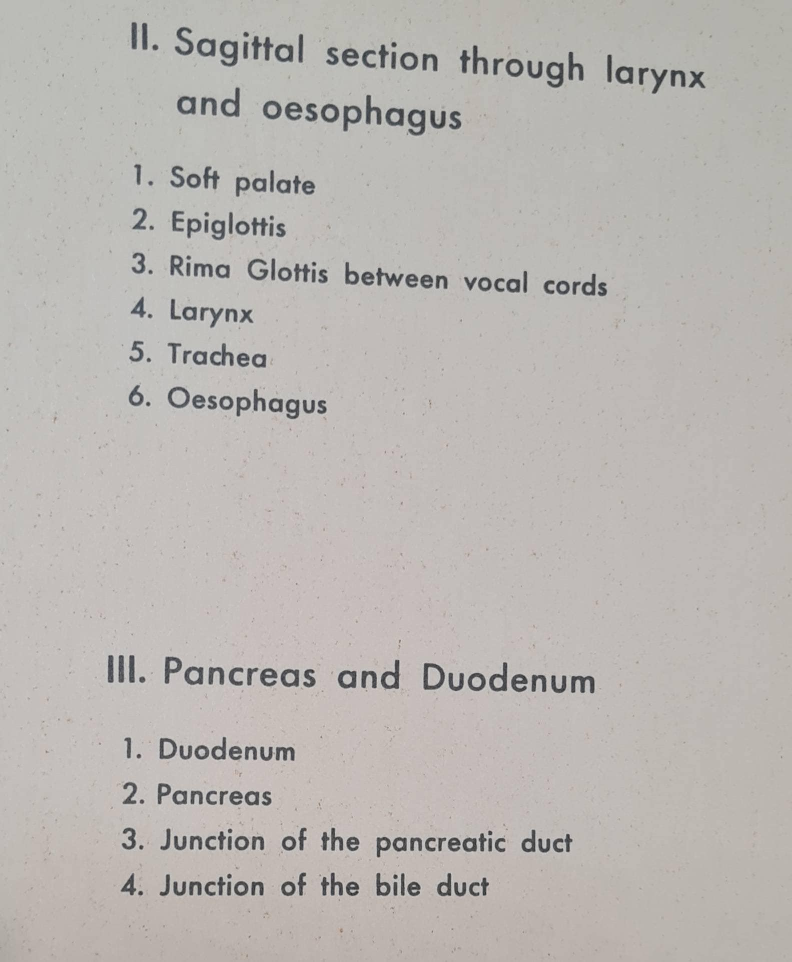 Vintage Anatomical Poster / Humandigestivesystem / 1950s Biology Poster ...