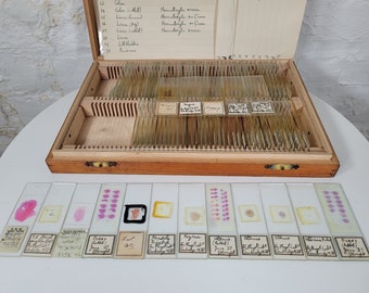 108 Antique and Vintage Microscope Slides / Microscope Slides in Box ...