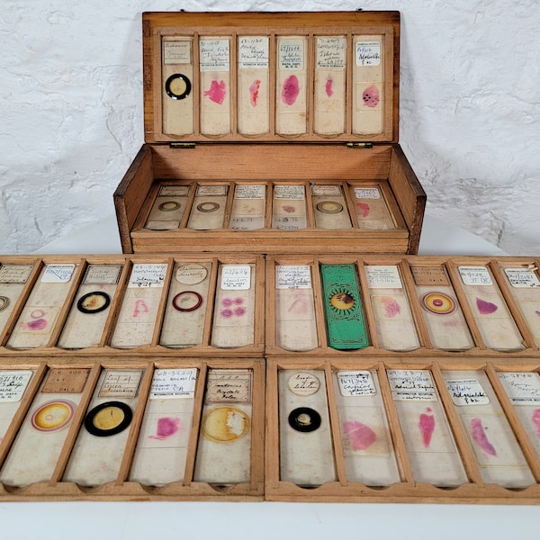 Microscope Slides - Etsy