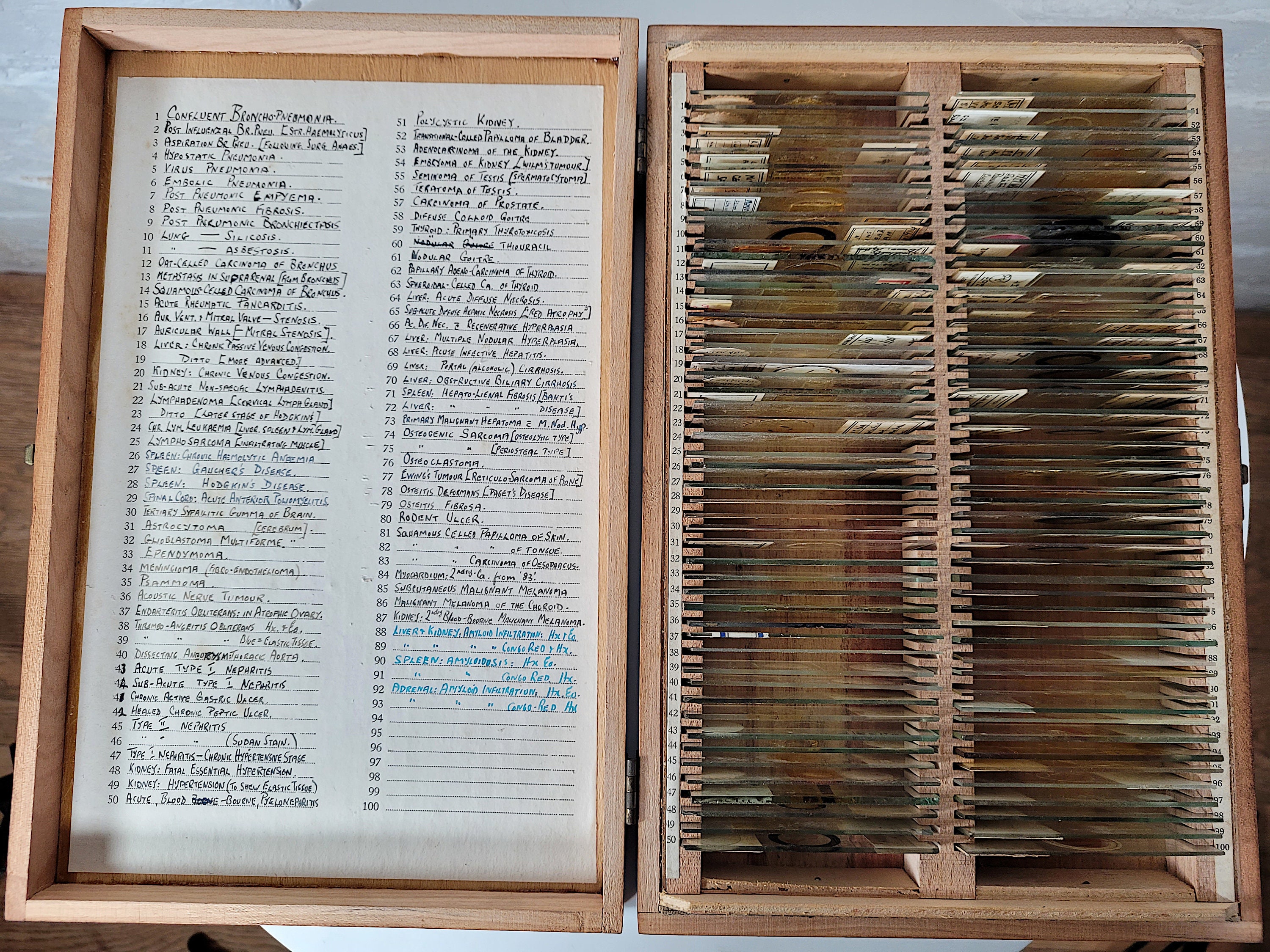 100 Antique and Vintage Microscope Slides / Microscope Slides in Box ...