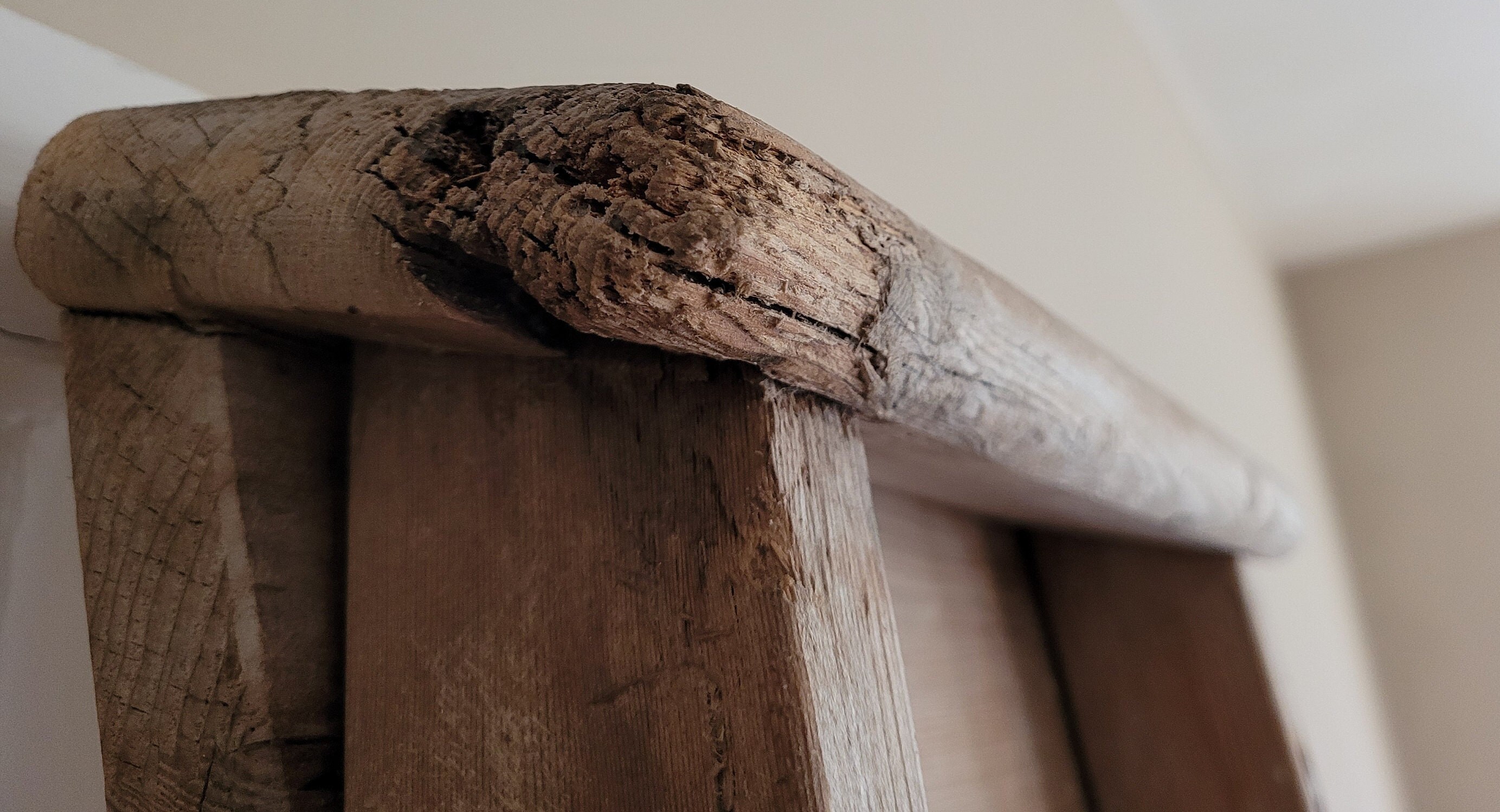 Antique Pine Ladders / Library Ladders / Shop Ladders / Library Steps ...